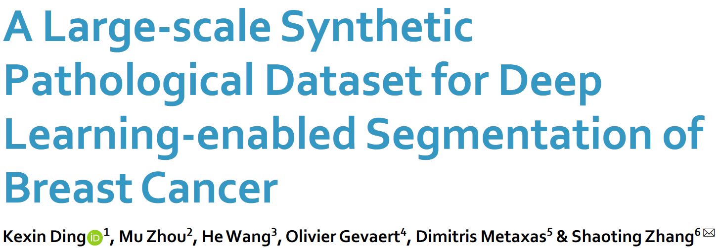 Sci Data | A Large-scale Synthetic Pathological Dataset for Deep Learning-enabled Segmentation ...
